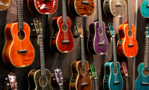 Bios – Brown County Ukulele Festival